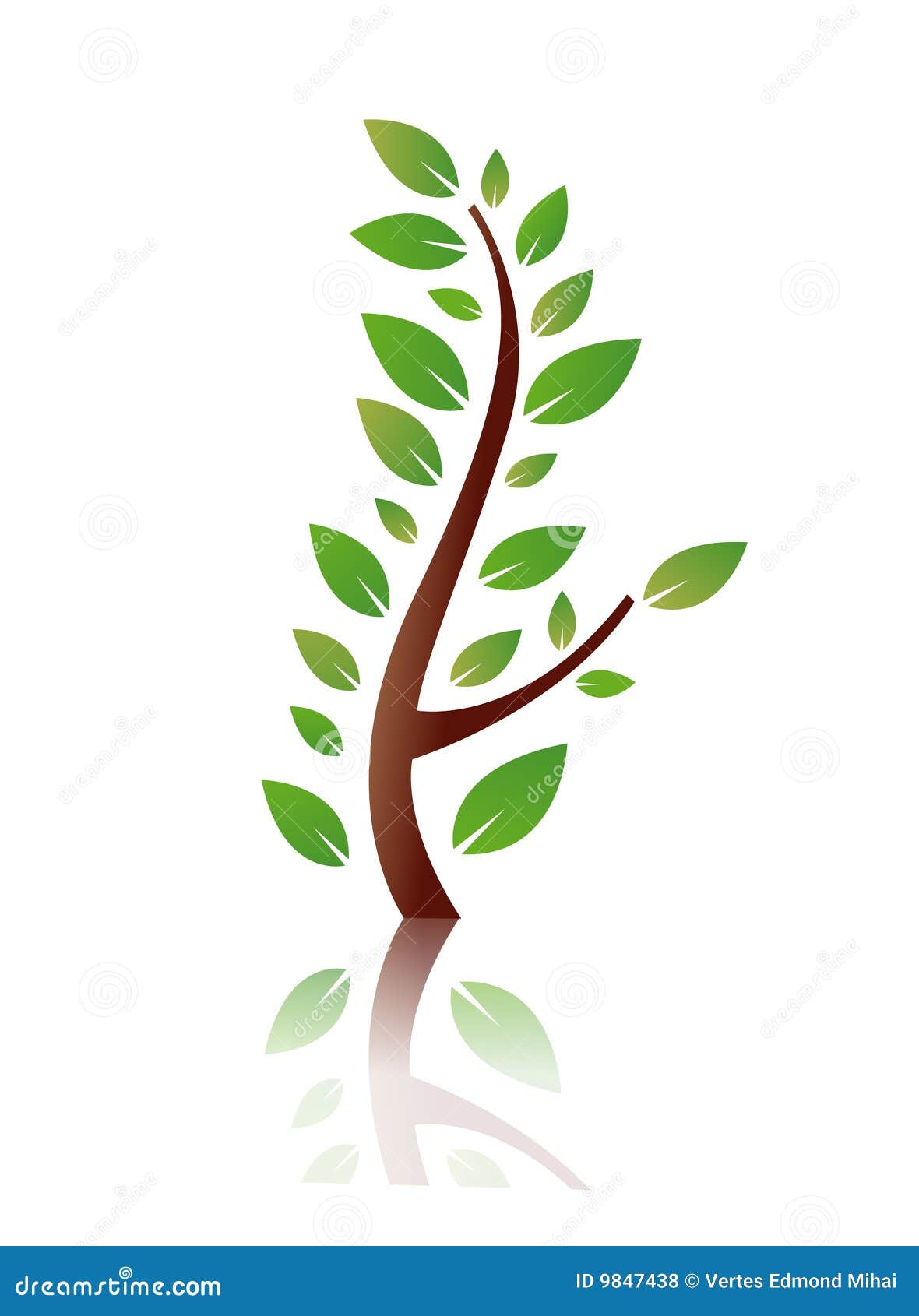 Tree with reflection stock vector. Illustration of curl - 9847438