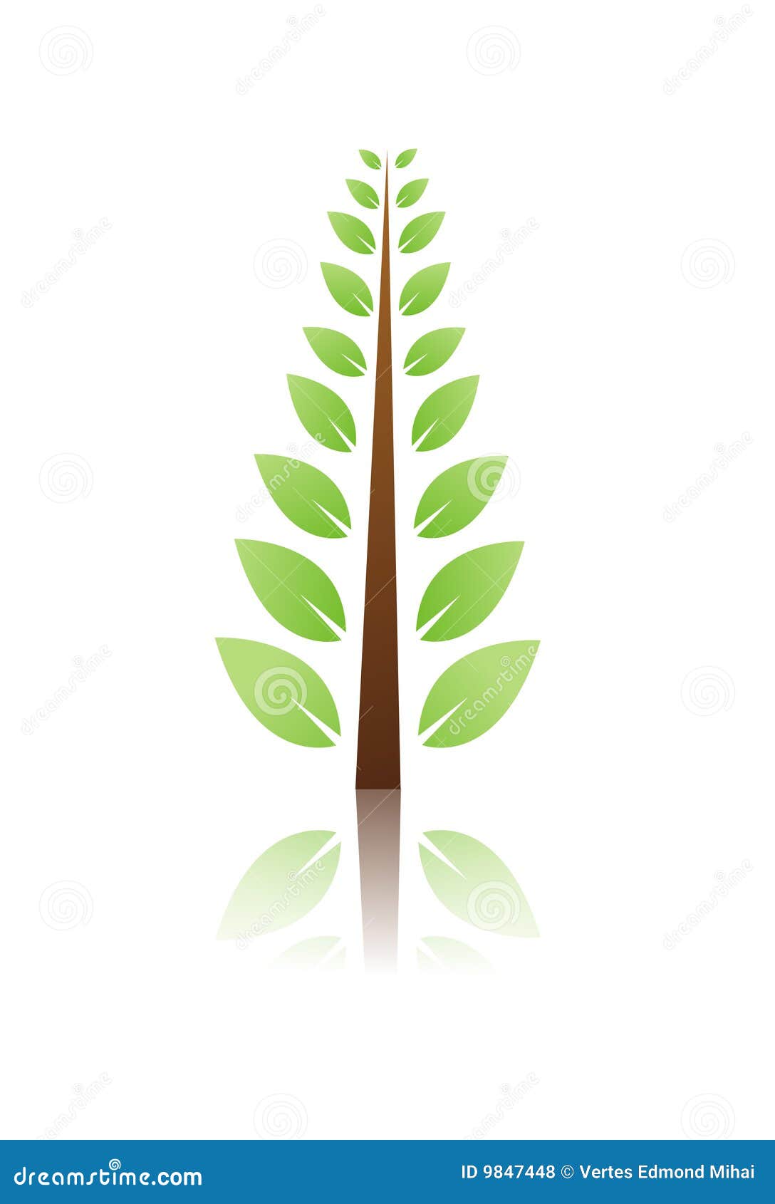 Tree with reflection stock vector. Illustration of design - 9847448