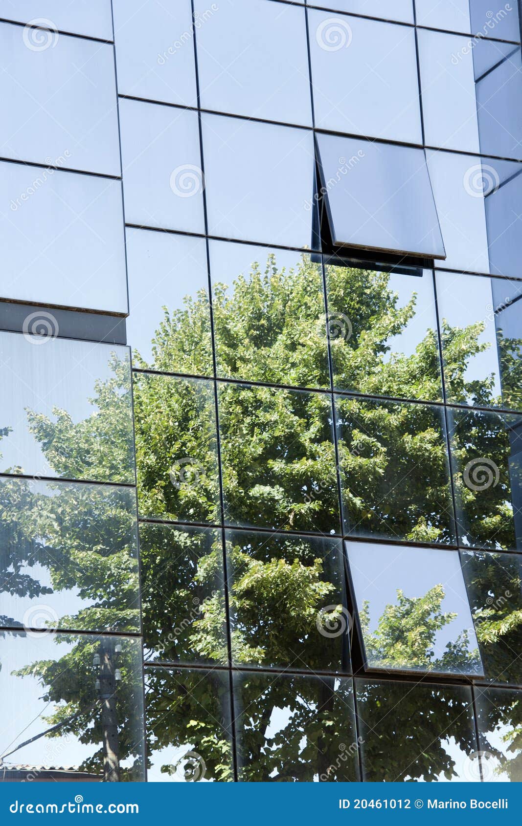 Tree Reflection in the Glass Palace Stock Photo - Image of natural ...