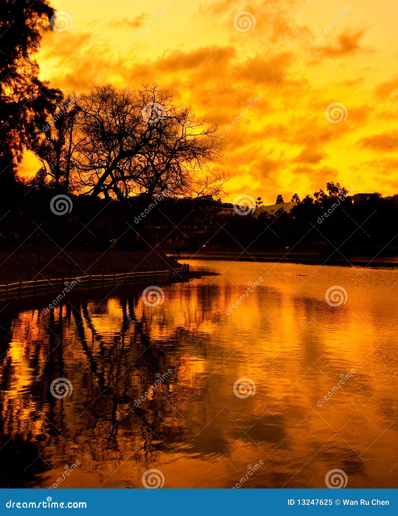 Tree Reflection in Lake at Sunset Stock Image - Image of relaxing ...