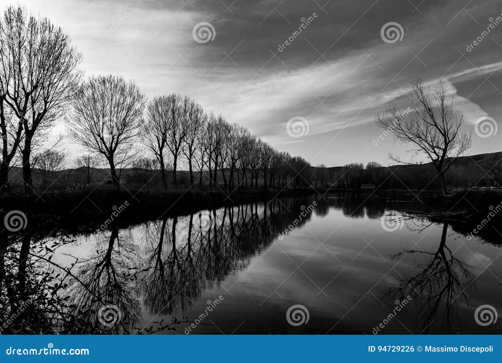 Tree reflection stock photo. Image of abstract, light - 94729226