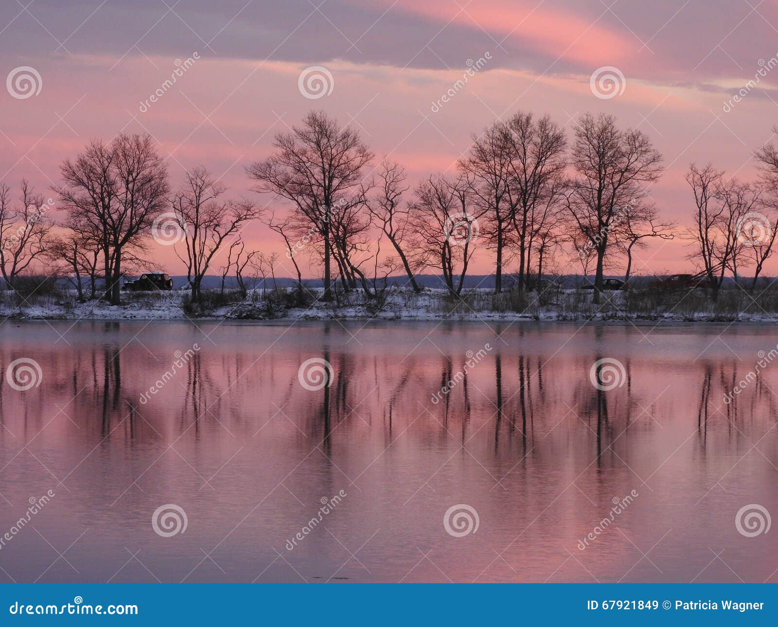 Tree Reflection with Pink Sky Stock Image - Image of water, trees: 67921849