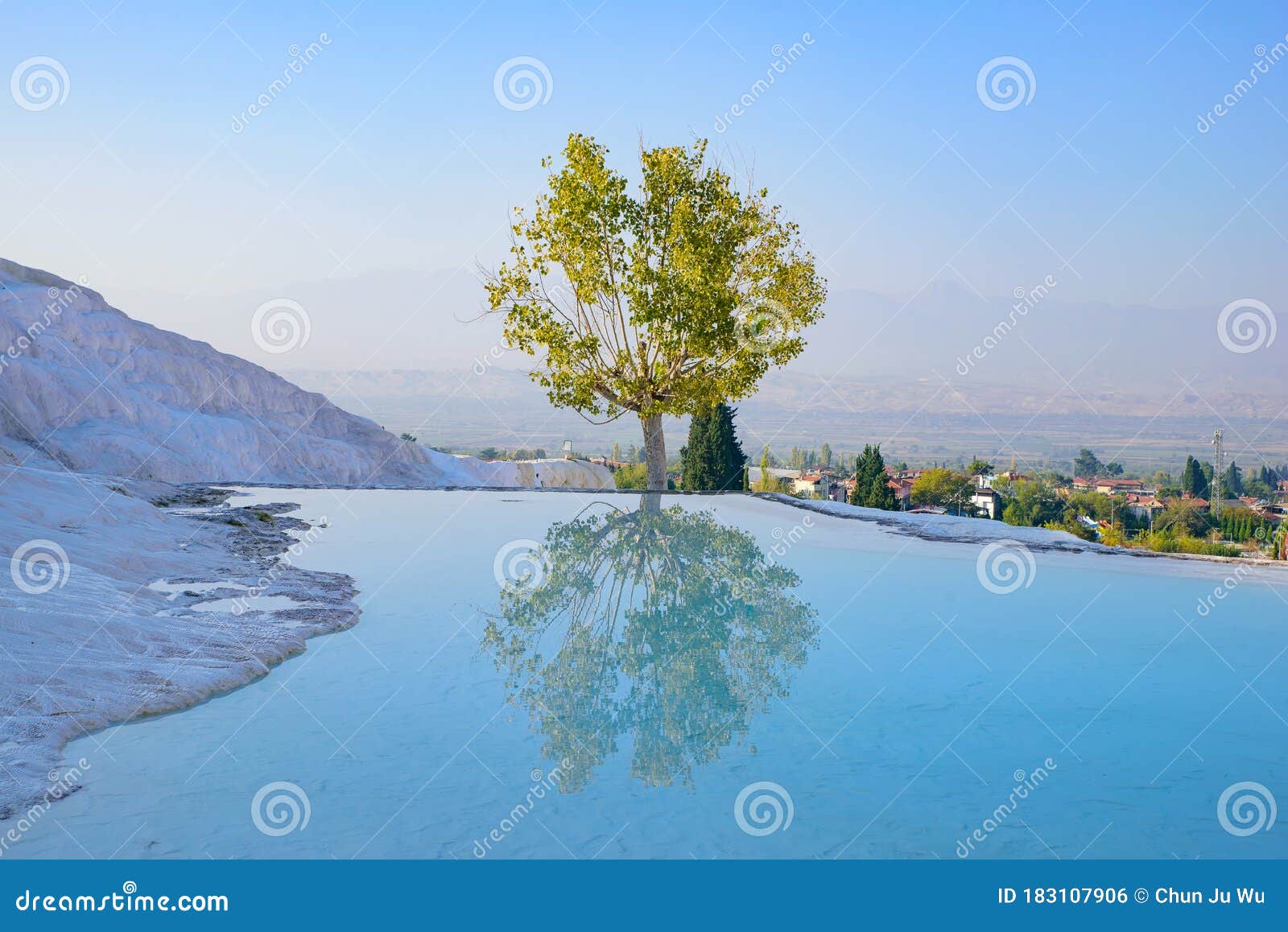 A Tree and Reflection on the Pool at Pamukkale Cotton Castle, Denizli ...