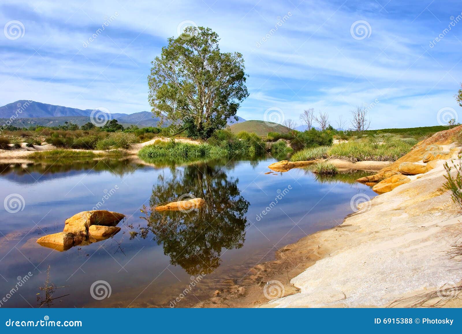 Tree and Reflection in River Stock Photo - Image of beautiful, lake ...