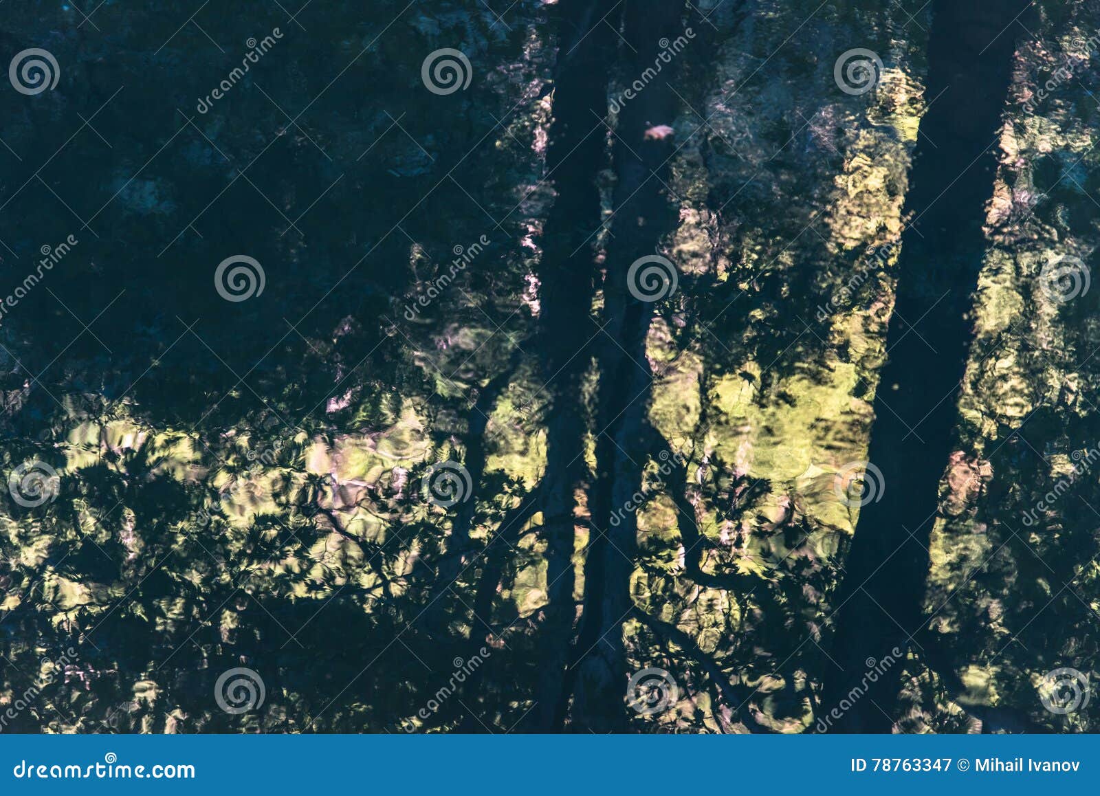 Tree Reflection in the River Stock Image - Image of river, trees: 78763347