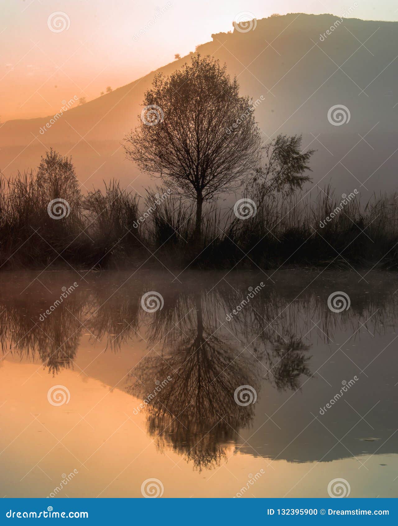 Tree Reflection by the River at Sunrise Stock Photo - Image of ...