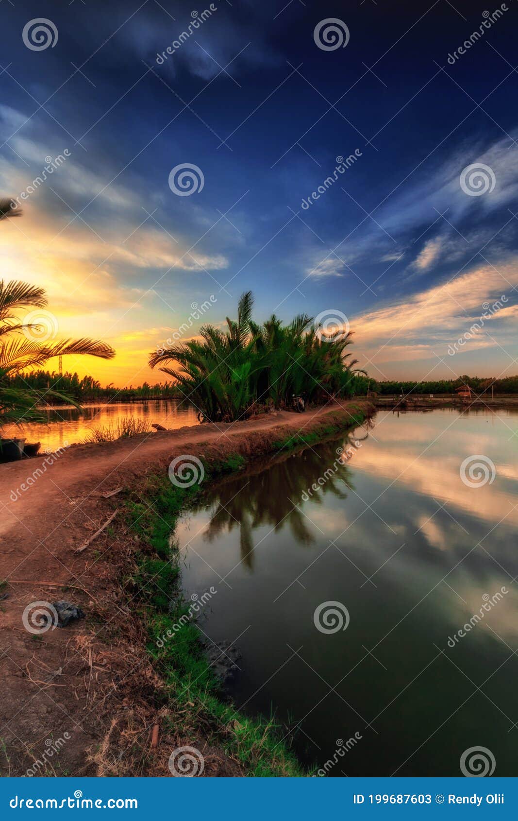 Tree reflection at sunset stock illustration. Illustration of tree ...