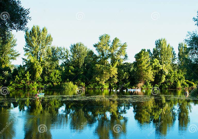 Tree reflection in water stock image. Image of tree, boat - 16927493