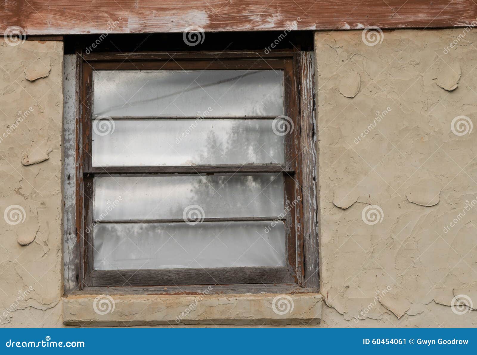 Tree Reflection in Window of Stucco Wall Stock Image - Image of window ...