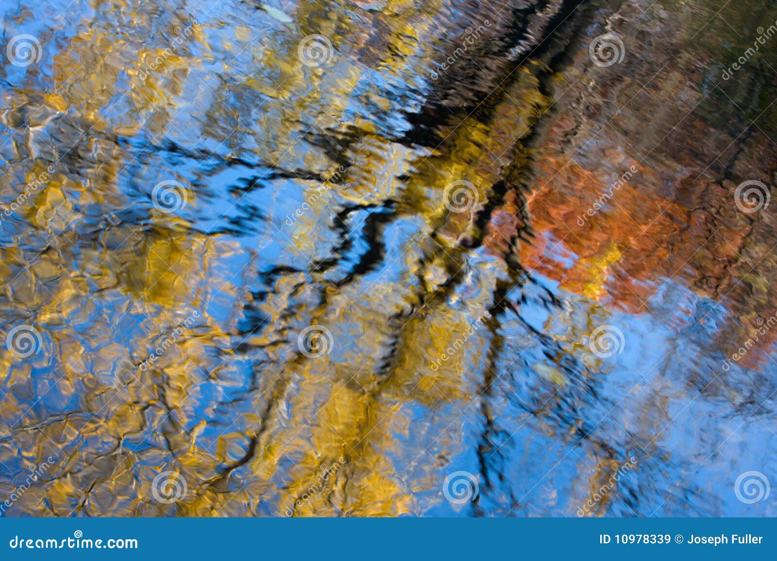 Tree Reflections stock image. Image of trees, seasonal - 10978339