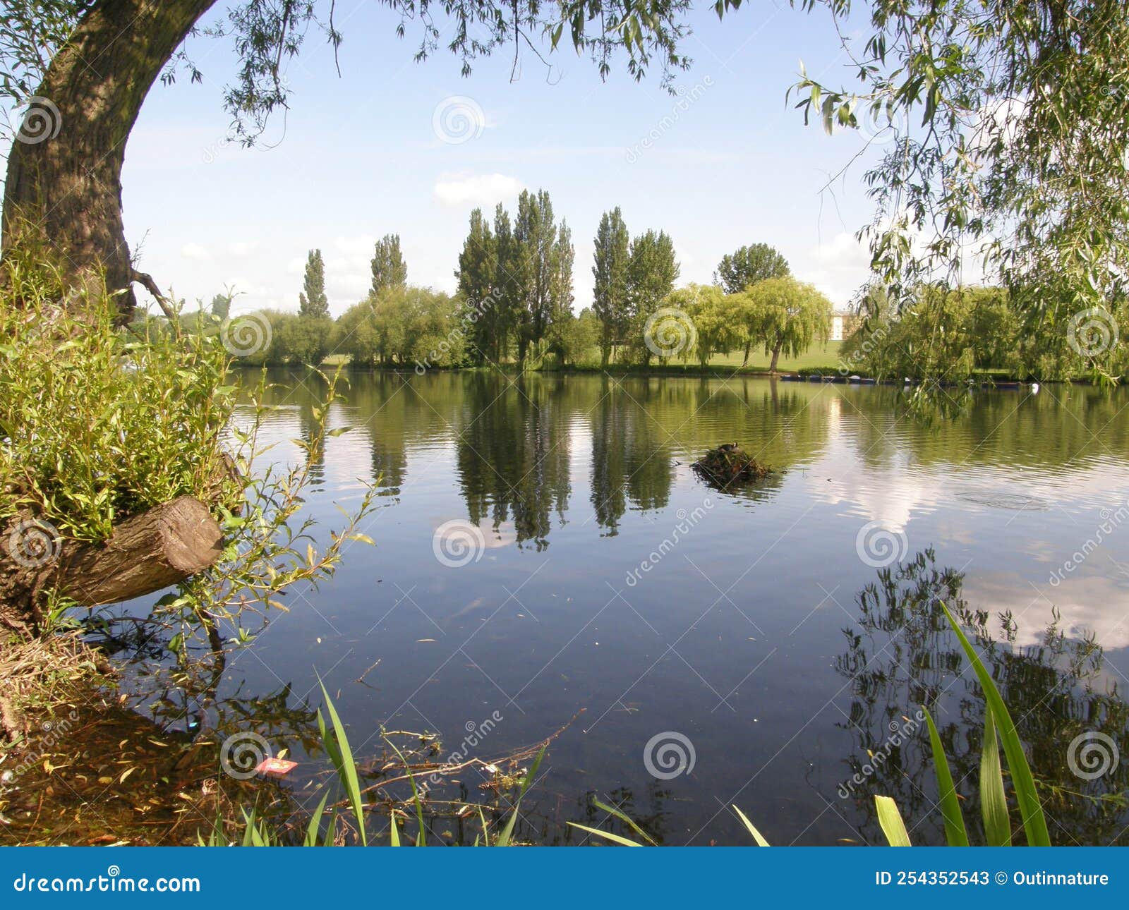 Tree Reflections on a Clear Lake Stock Image - Image of nature, lake ...