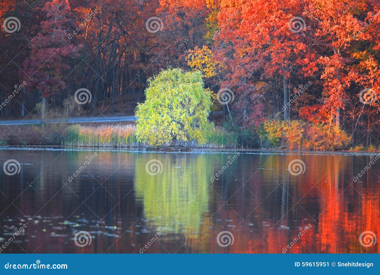 Tree Reflections in the Lake Stock Image - Image of landscape, nature ...