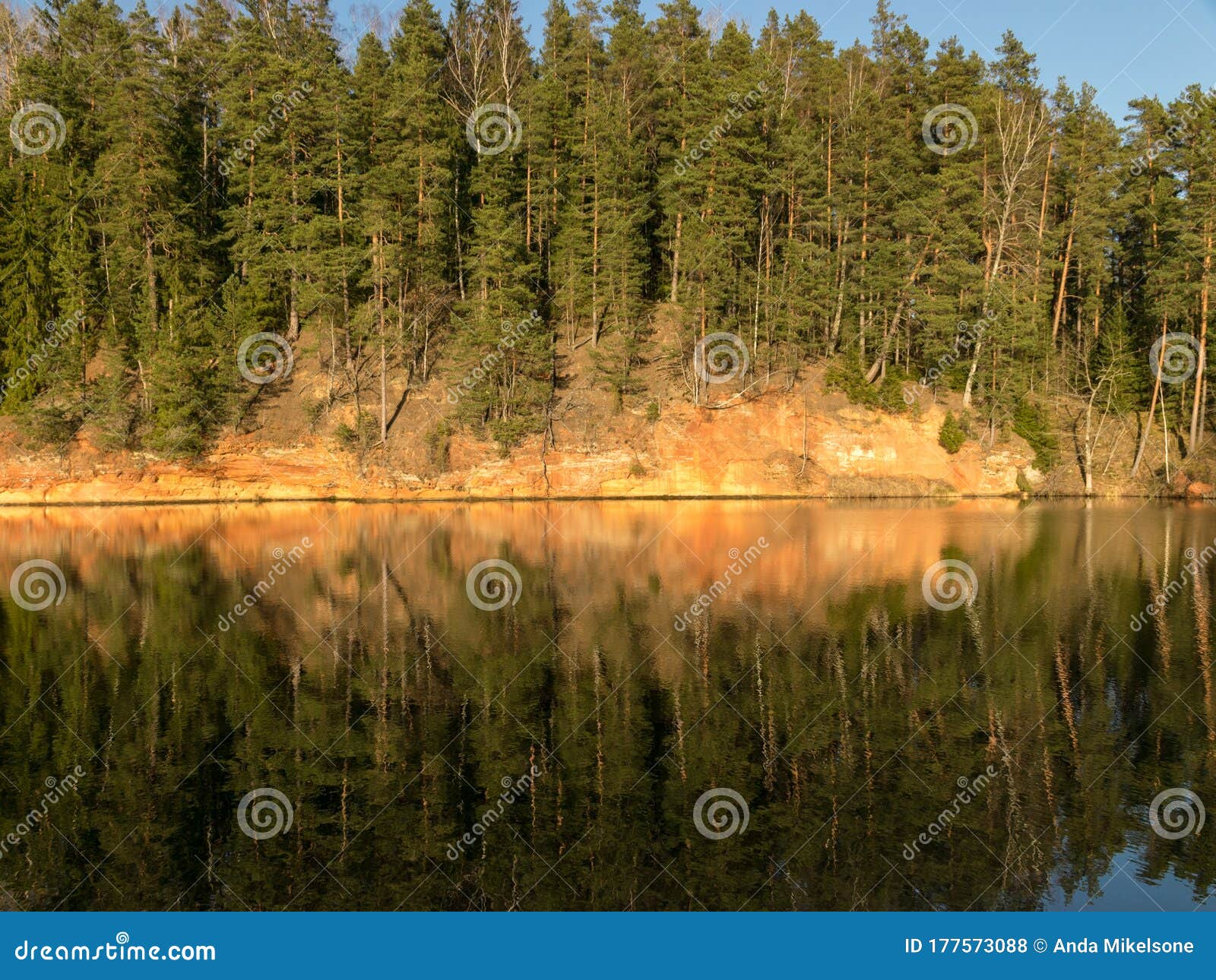Tree reflections in water stock photo. Image of water - 177573088