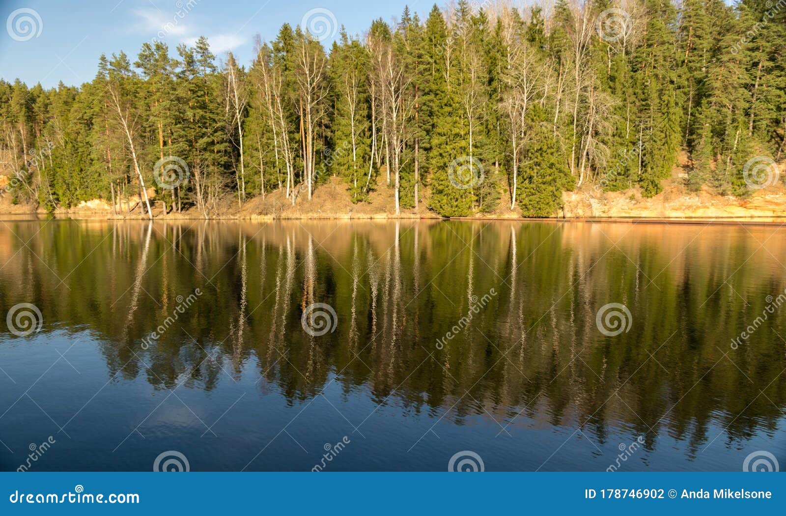 Tree reflections in water stock photo. Image of water - 178746902