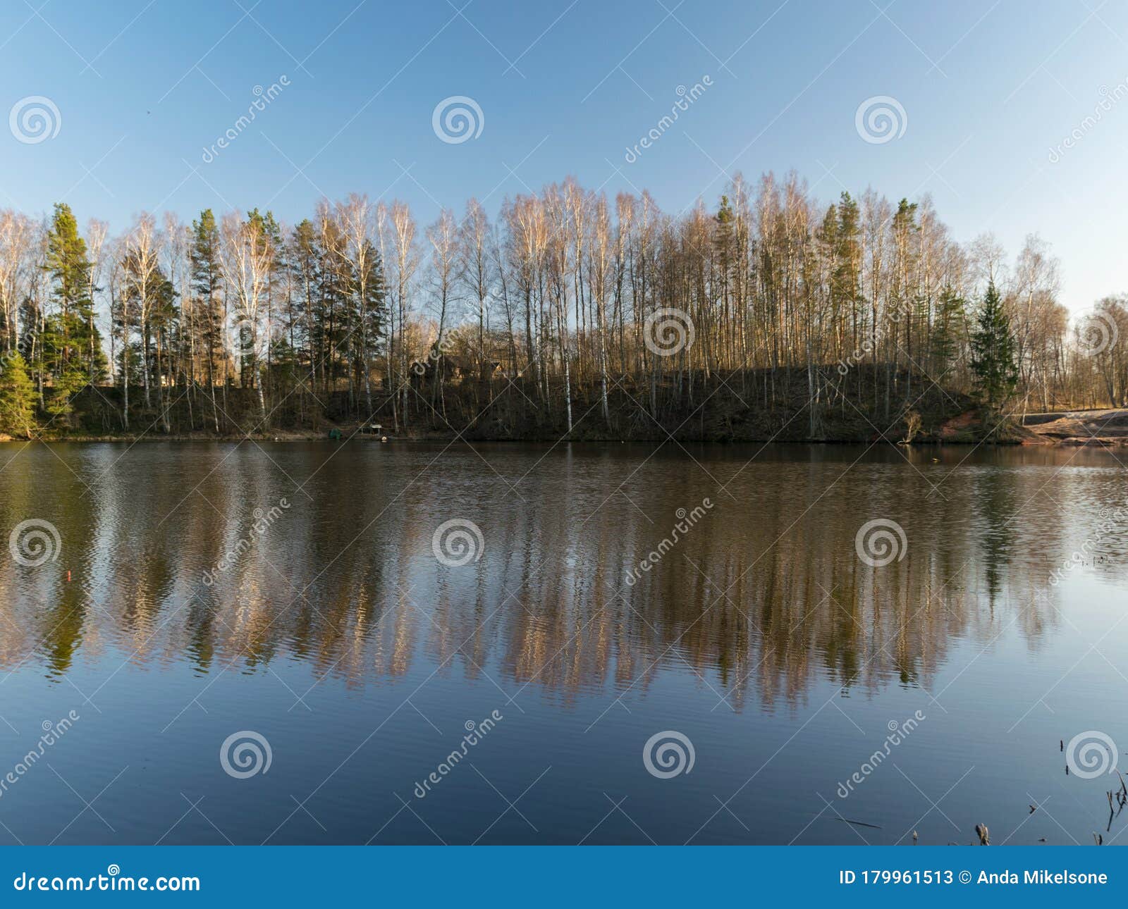 Tree reflections in water stock image. Image of reflection - 179961513