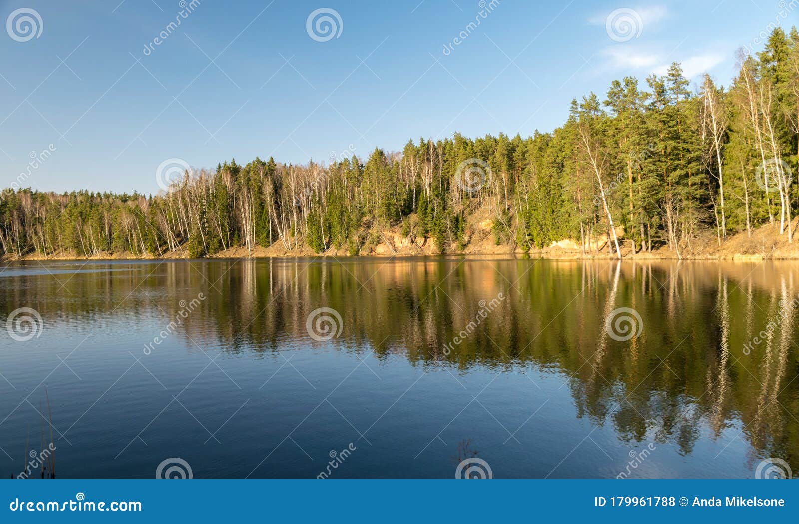 Tree reflections in water stock photo. Image of outdoors - 179961788