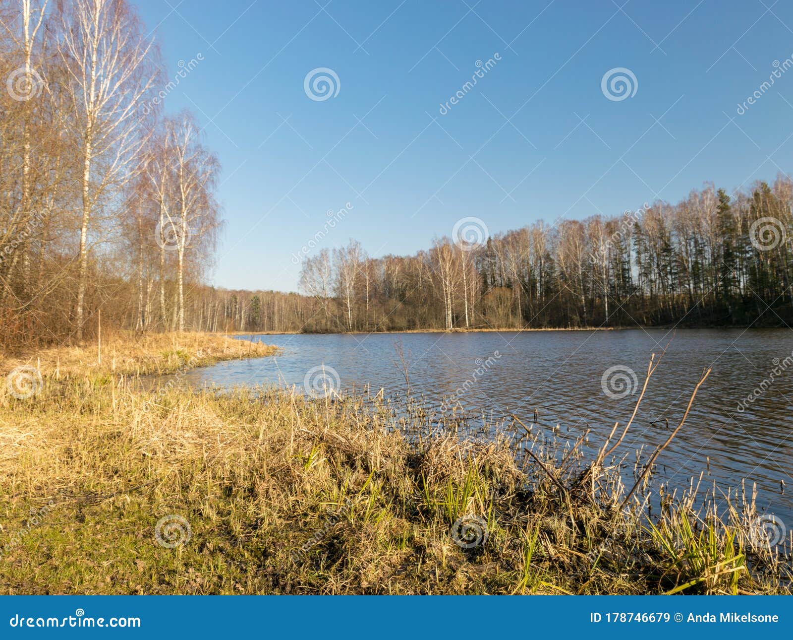 Tree Reflections in Water, Early Spring Landscape Stock Image - Image ...