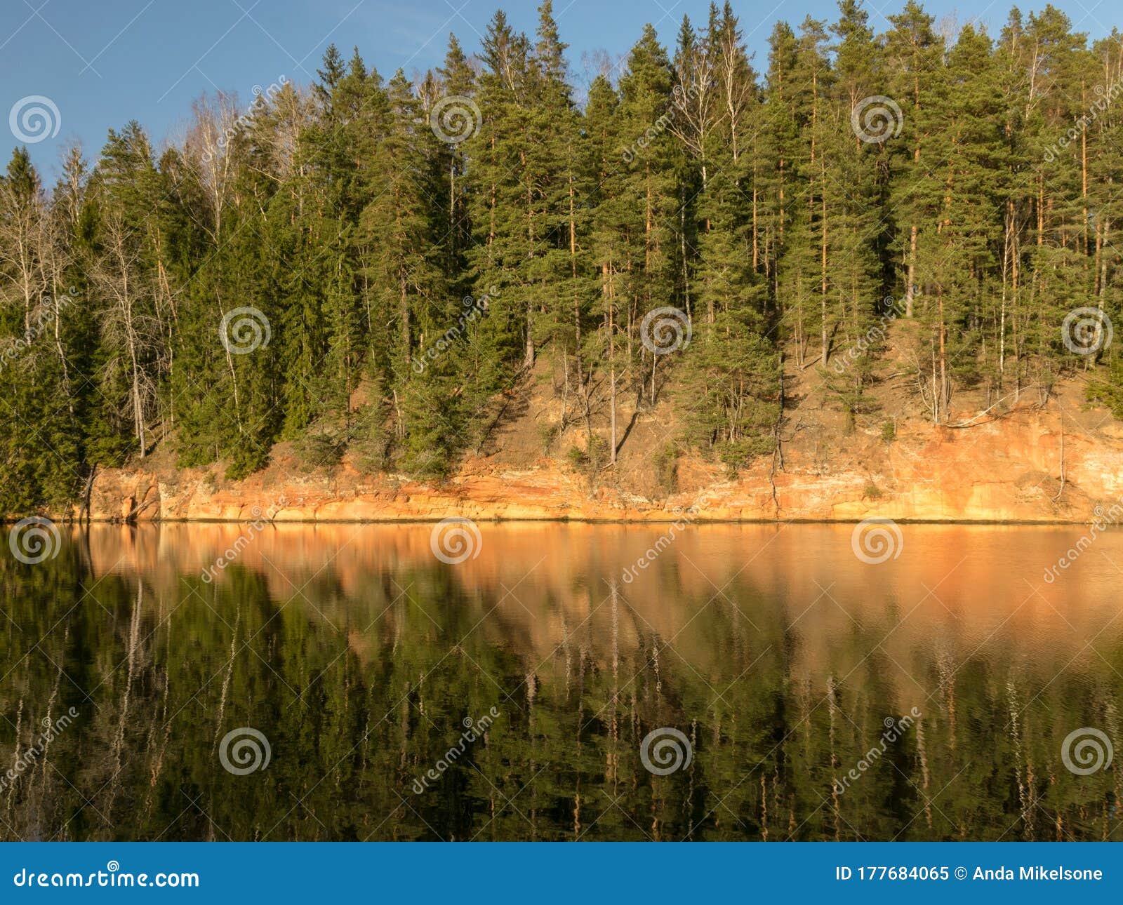 Tree reflections in water stock image. Image of nature - 177684065