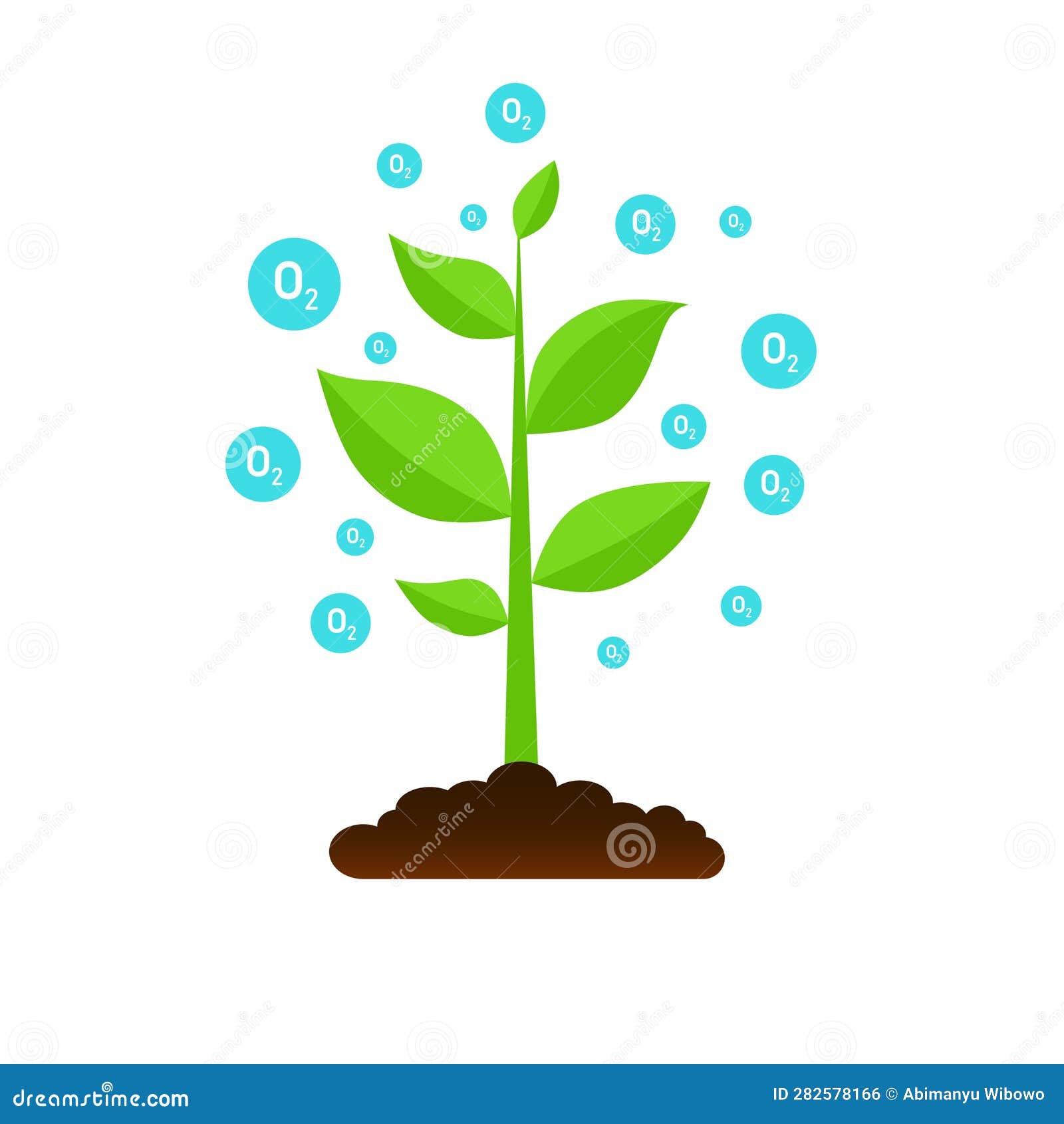 Tree Release Oxygen Tree Grows from Seed Earth Green Greening Programme ...