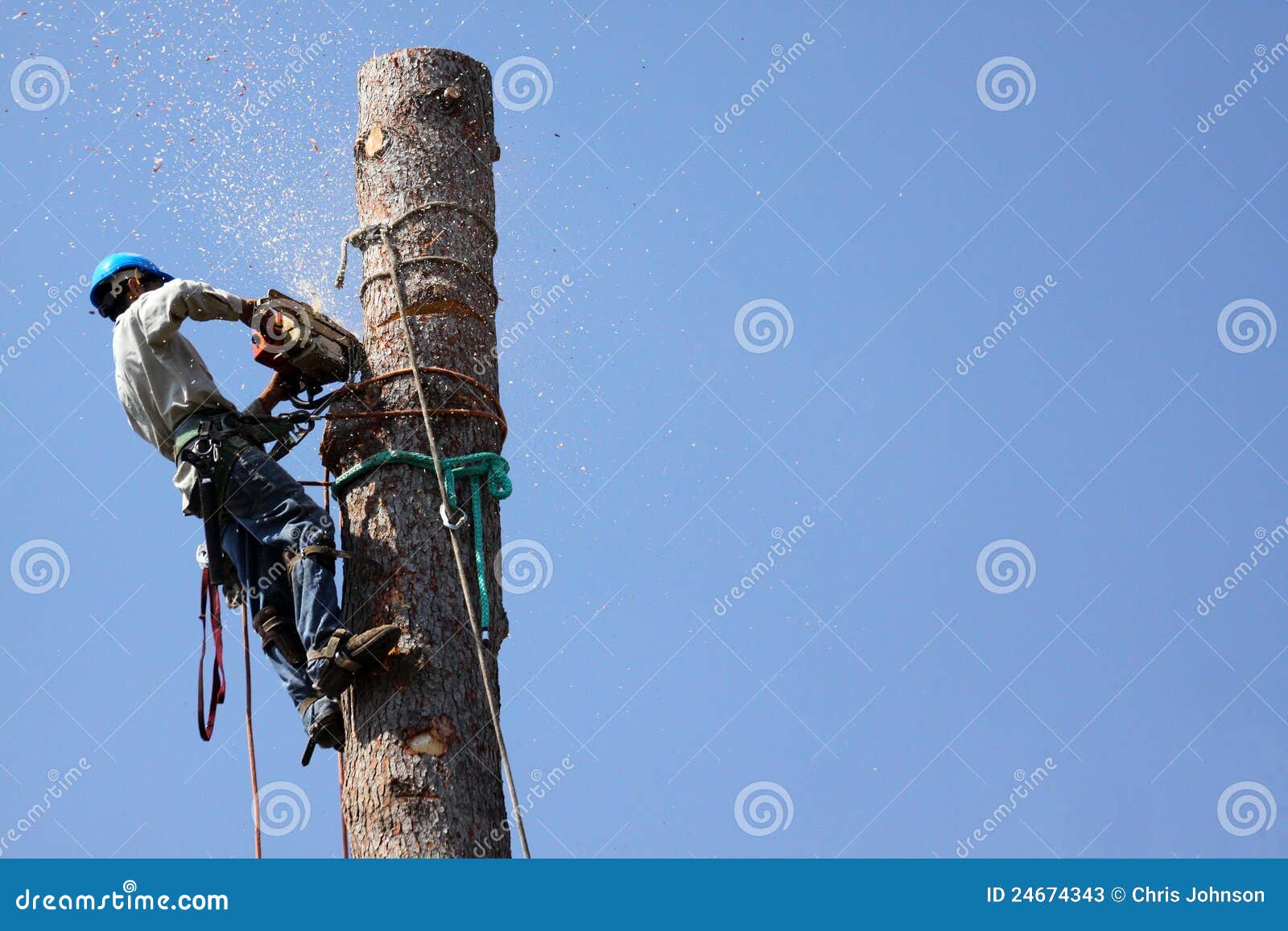 Tree Removal stock image. Image of work, workers, trades - 24674343