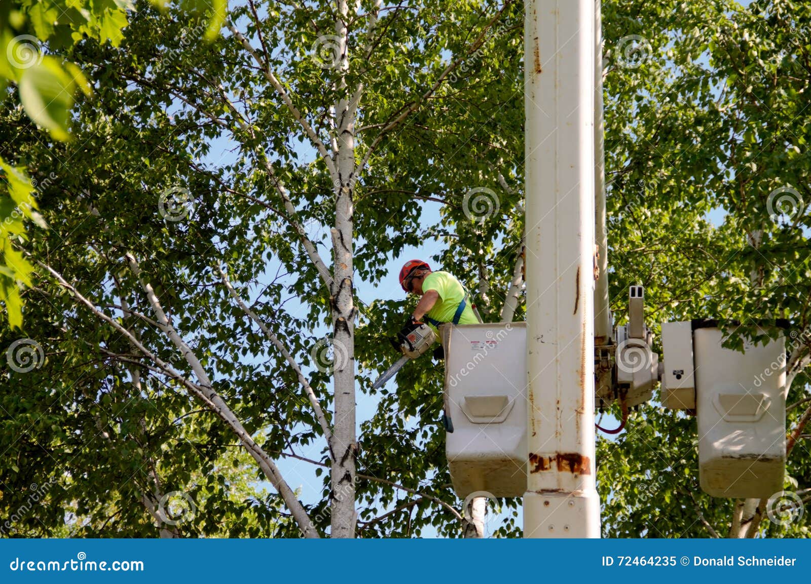 Tree Removal Using a Boom Bucket Editorial Image - Image of bucket ...