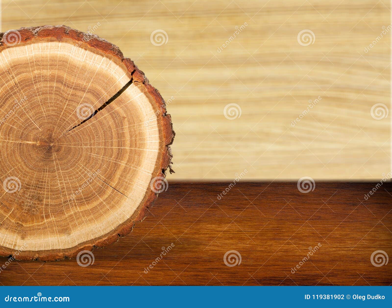Tree ring stock photo. Image of wood, forest, timber - 119381902