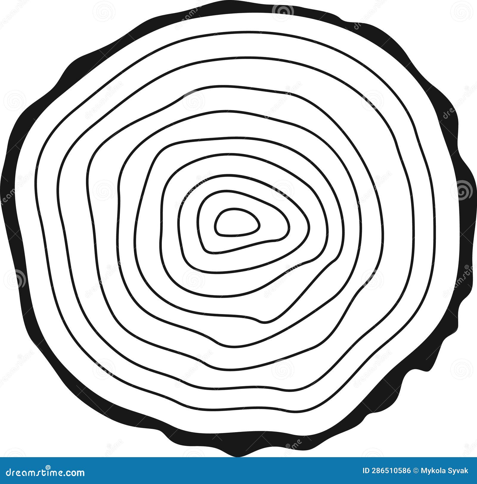 Tree Ring Wood Circle stock vector. Illustration of forest - 286510586