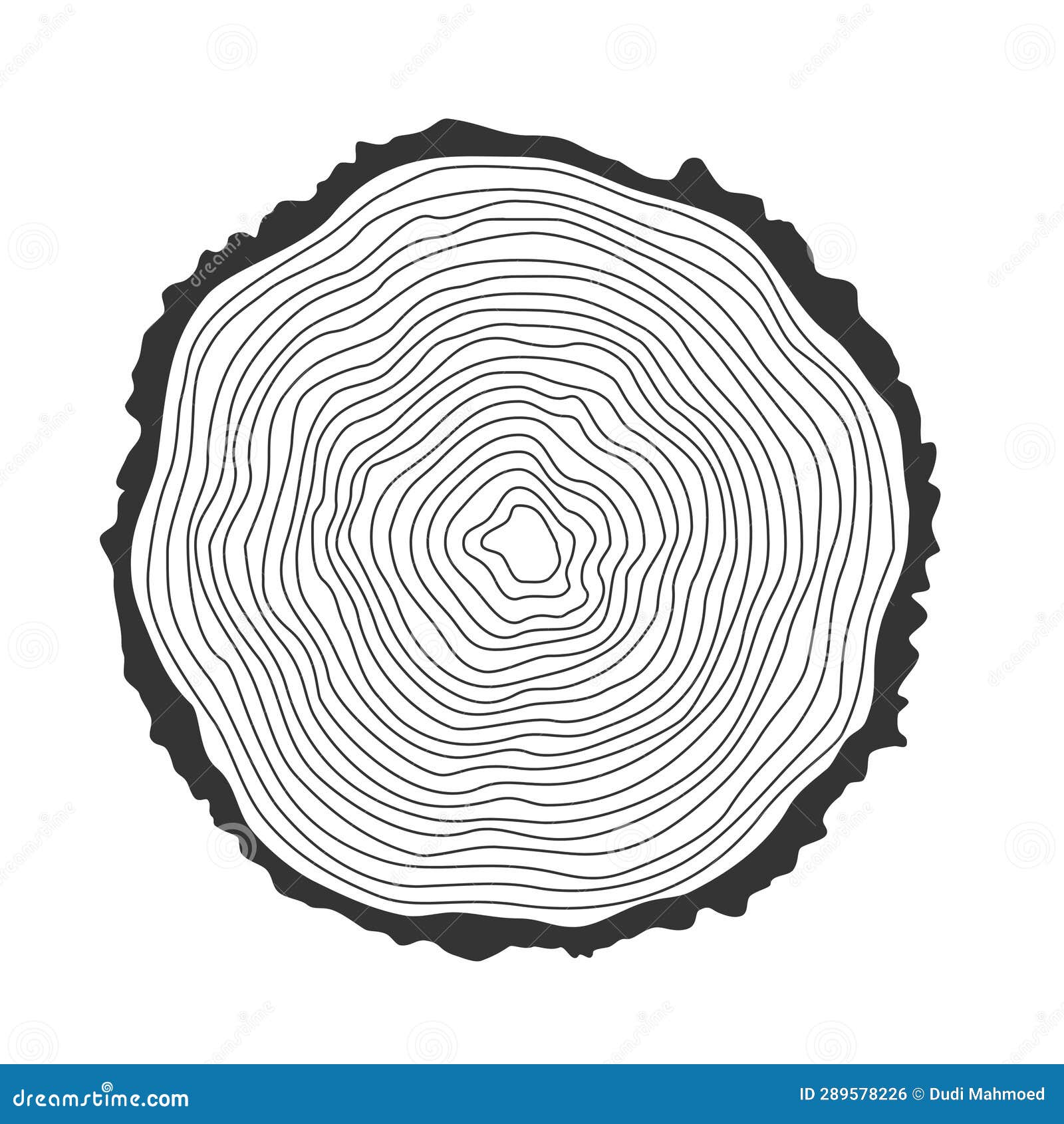 Tree Ring,Wood Grain Texture,Tree Stumps. Stock Illustration ...