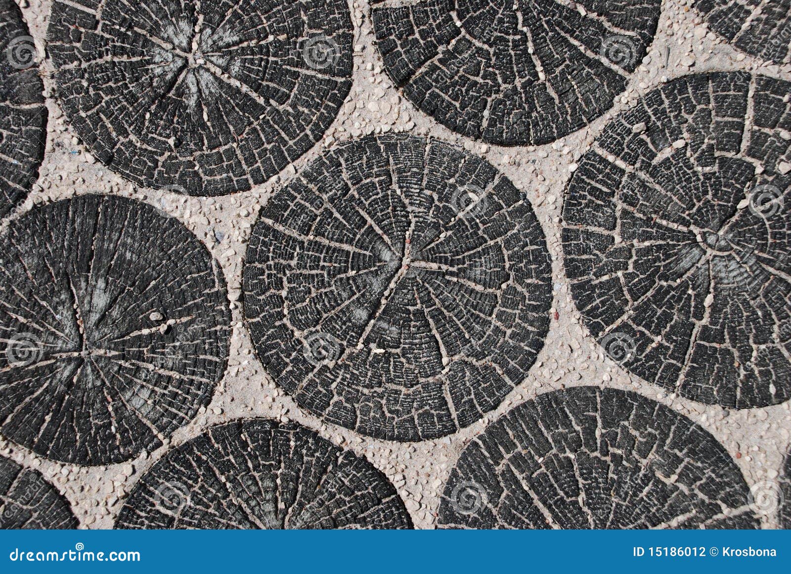 Tree Rings stock photo. Image of natural, tree, curve - 15186012