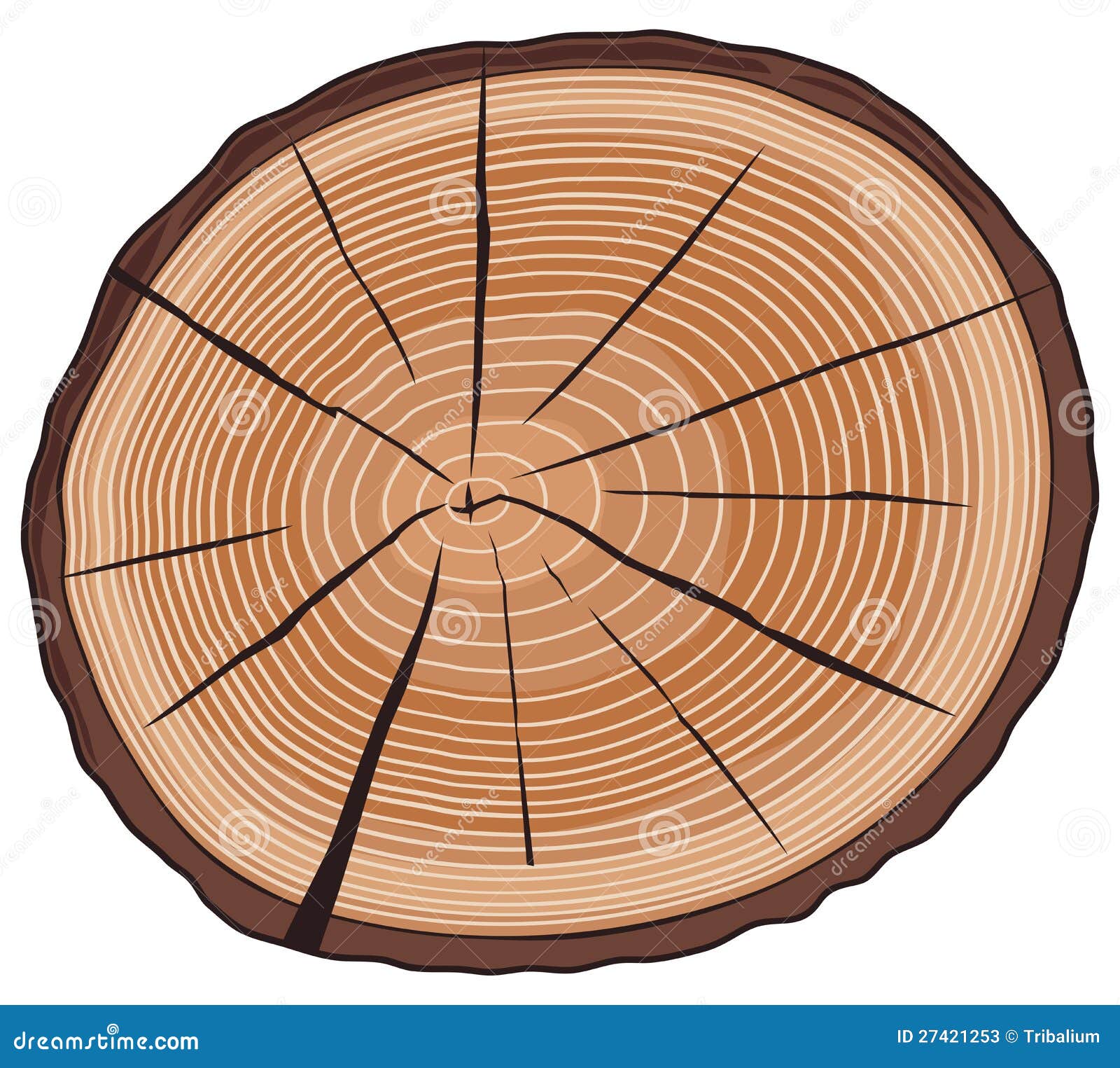 Tree rings stock vector. Illustration of rough, environment - 27421253