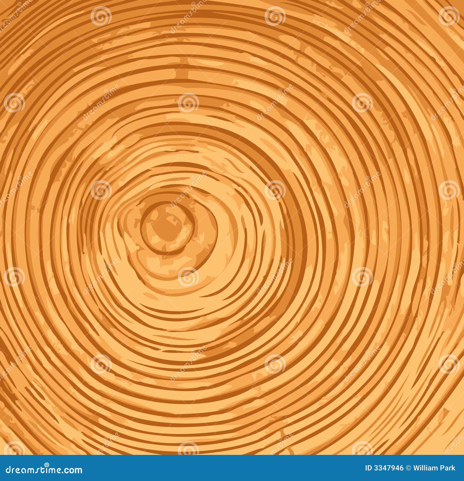 Tree Rings stock illustration. Illustration of trees, material - 3347946