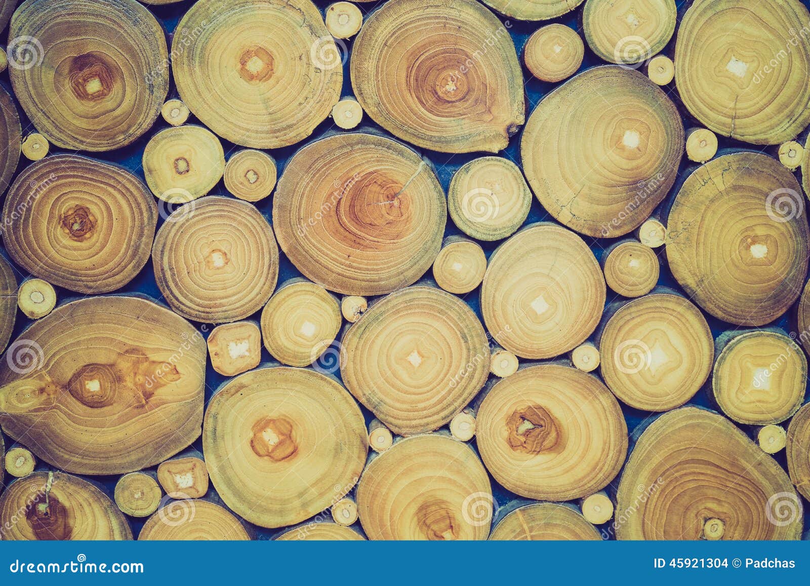 Tree Rings background stock photo. Image of timber, process - 45921304