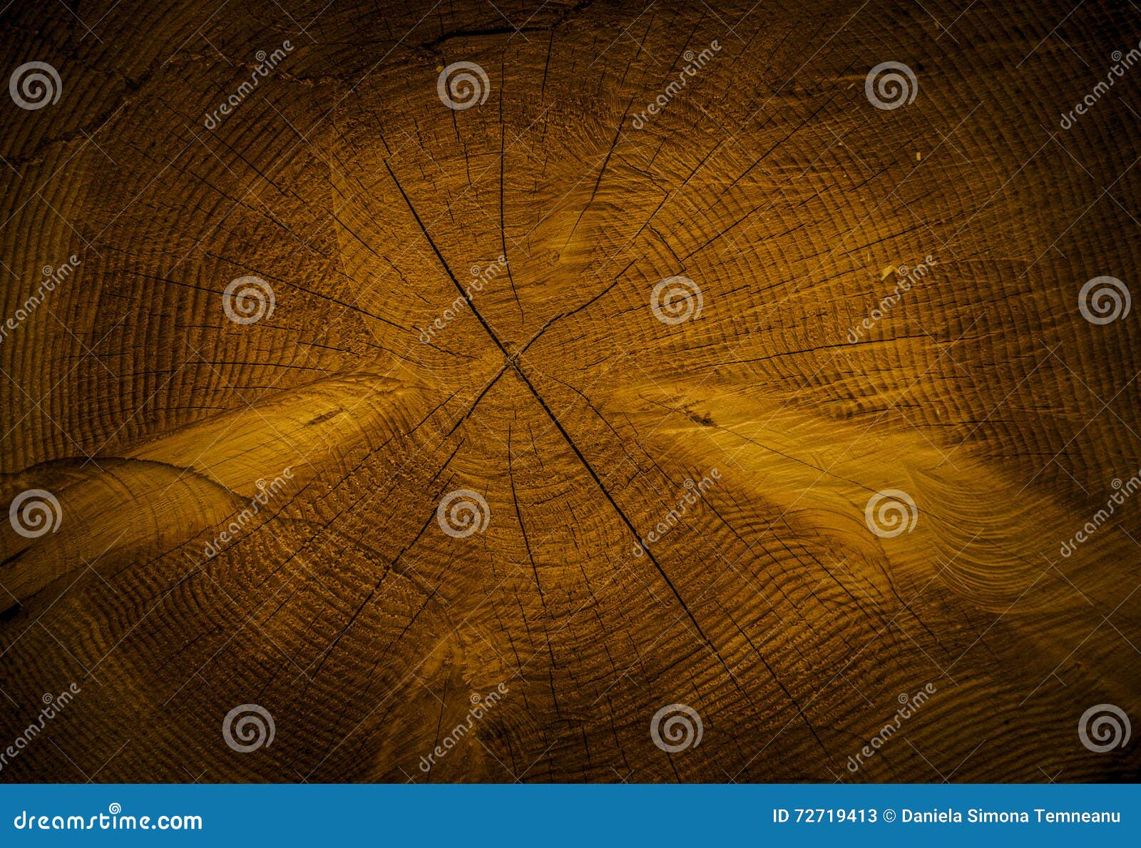 Tree rings background stock image. Image of background - 72719413