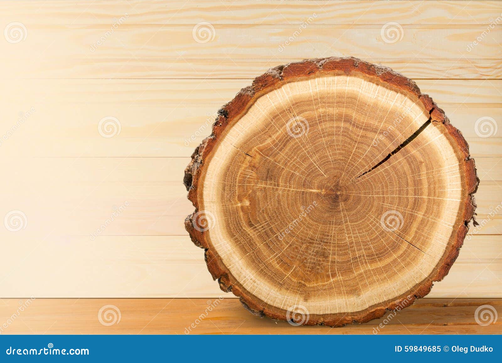 Tree Rings Stock Photo - Image: 59849685