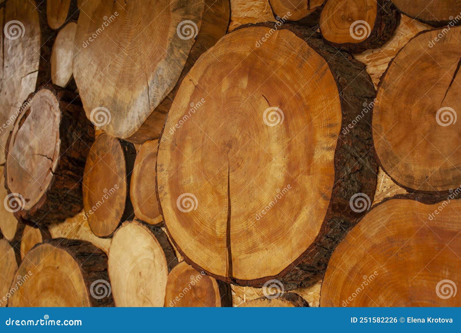 Tree Rings Old Weathered Wood Texture with the Cross Section of a Cut ...