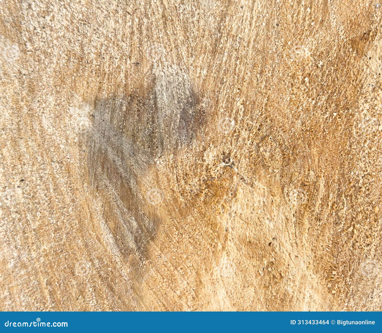 Tree Rings Old Weathered Wood Texture with the Cross Section of a Cut ...