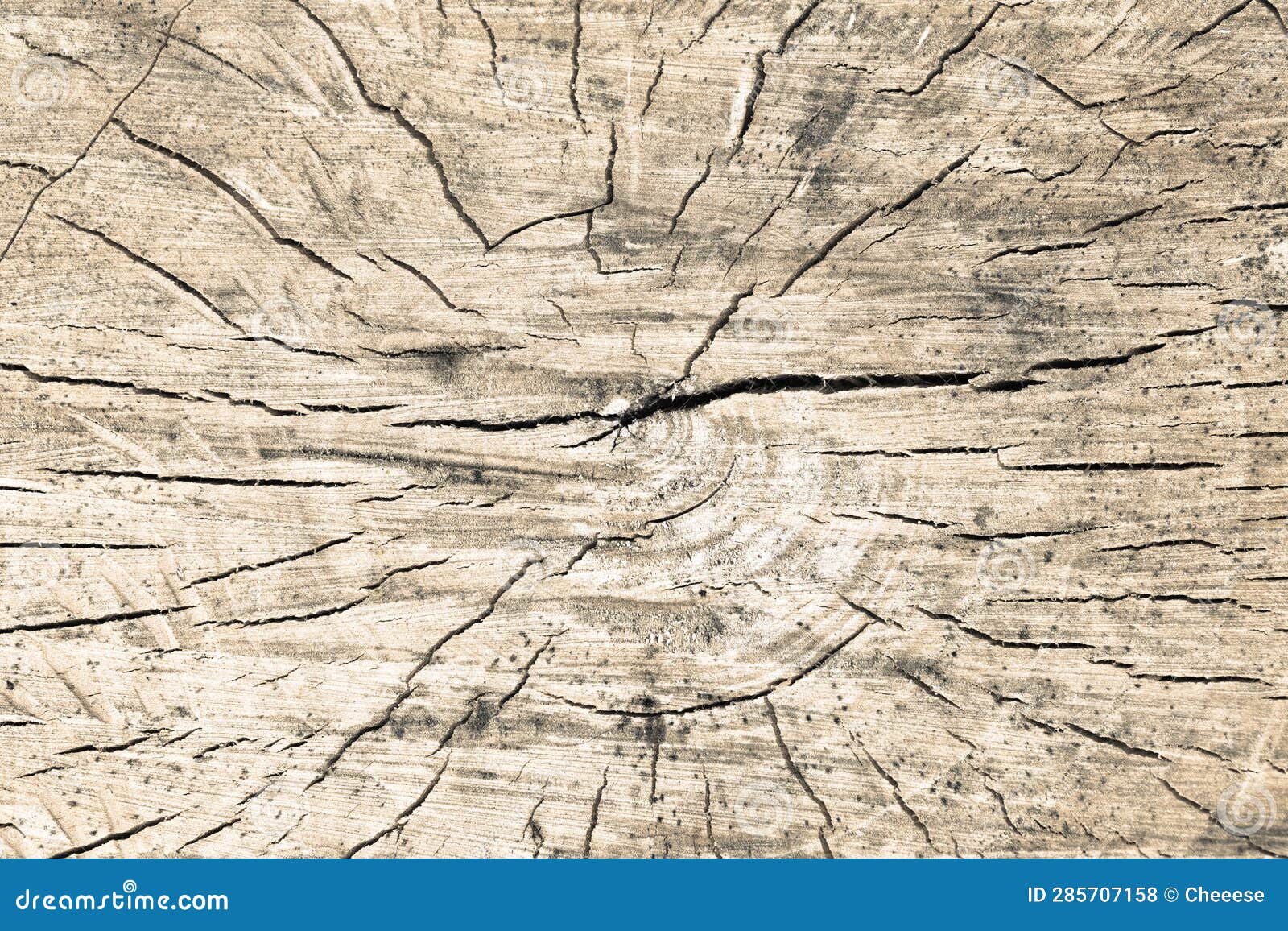 Tree Rings Old Weathered Wood Texture with the Cross Section of a Cut ... Tree Rings Old Weathered Wood Texture with the Cross Section of a Cut ...