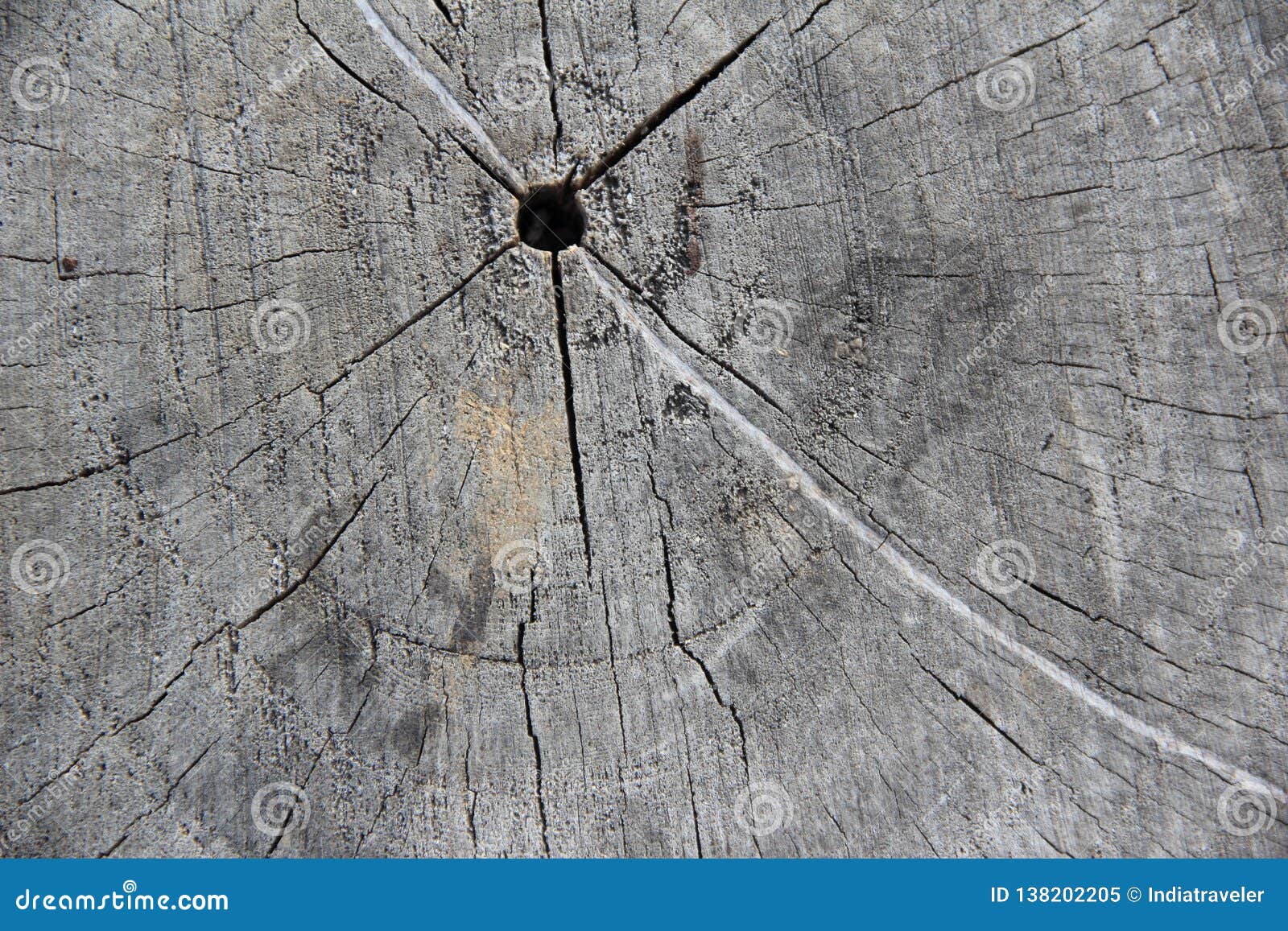 Tree Rings Old Wood Texture. Royalty-Free Stock Photography ...