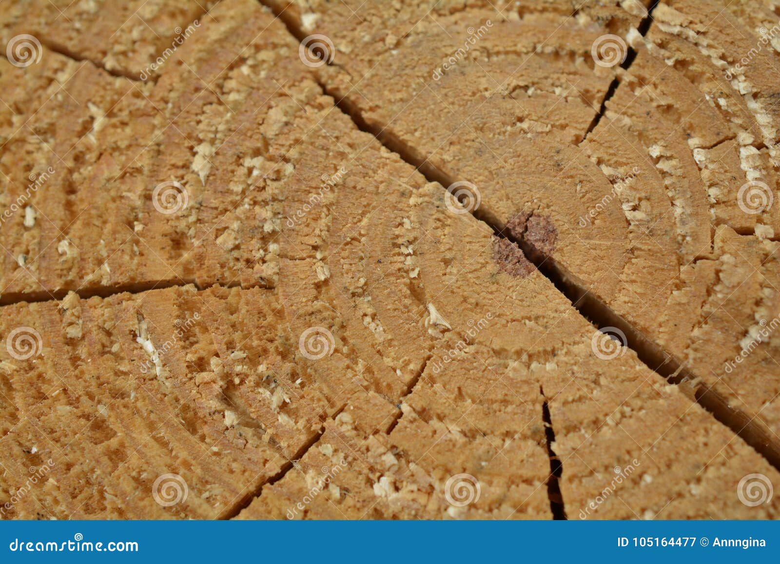 Tree Rings - Old Wooden Pattern Stock Image - Image of center, filings ...