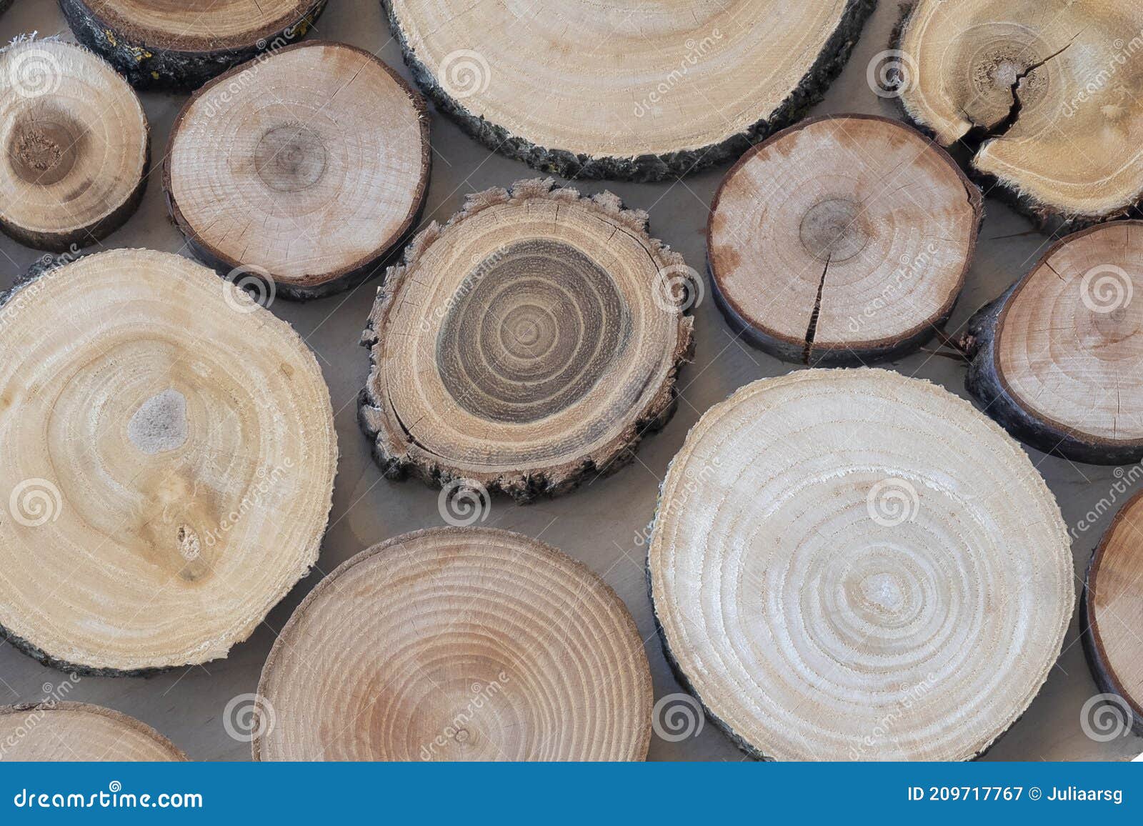 Tree Rings Attached To Wall. Background Image Stock Image - Image of ...