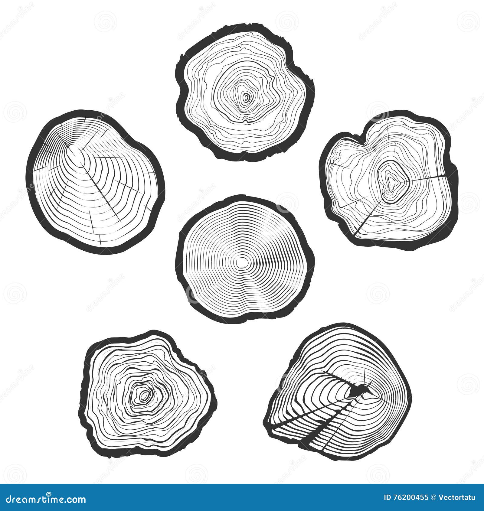 Tree-rings vector set stock vector. Illustration of firewood - 76200455
