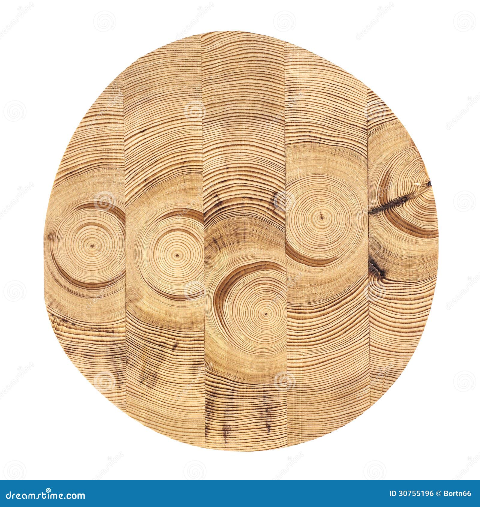Tree rings stock photo. Image of material, wooden, circle - 30755196
