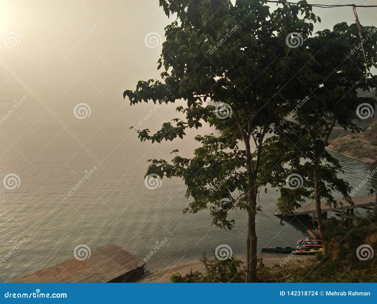 Tree beside river stock photo. Image of reflection, tree - 142318724