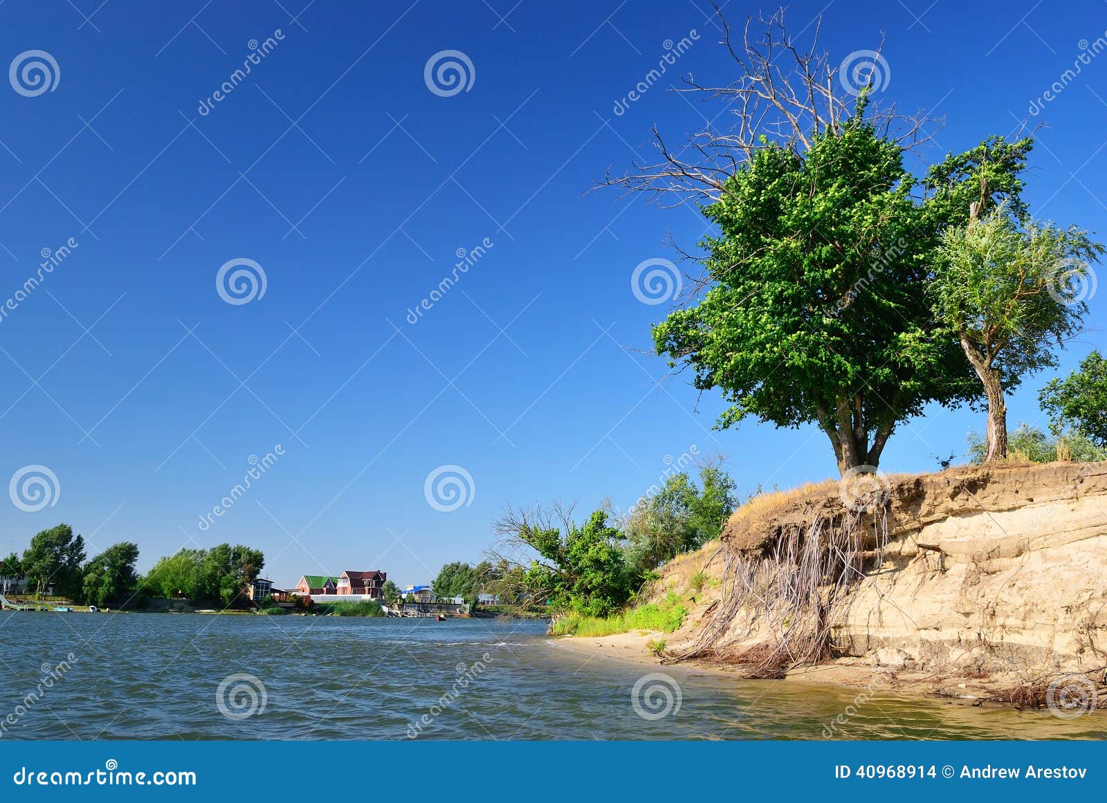 Tree by the river stock photo. Image of tree, summer - 40968914