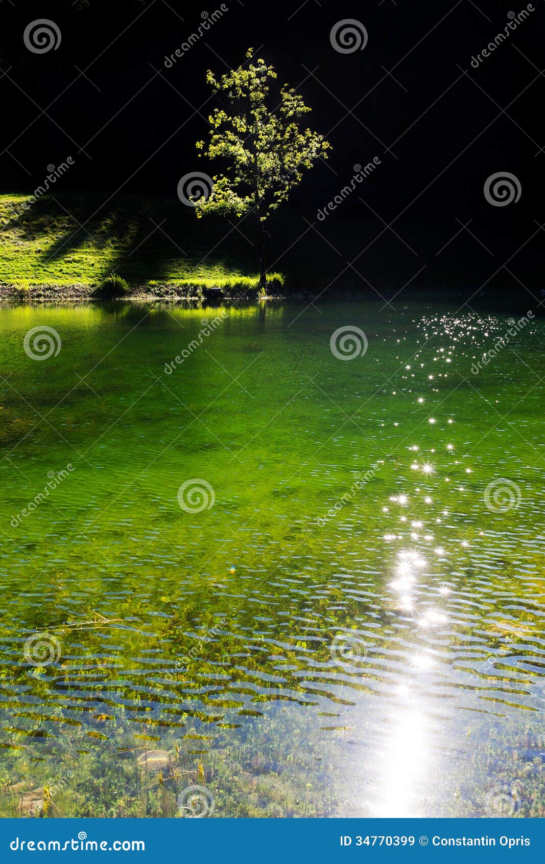 Tree and river sunshine stock image. Image of light, summer - 34770399