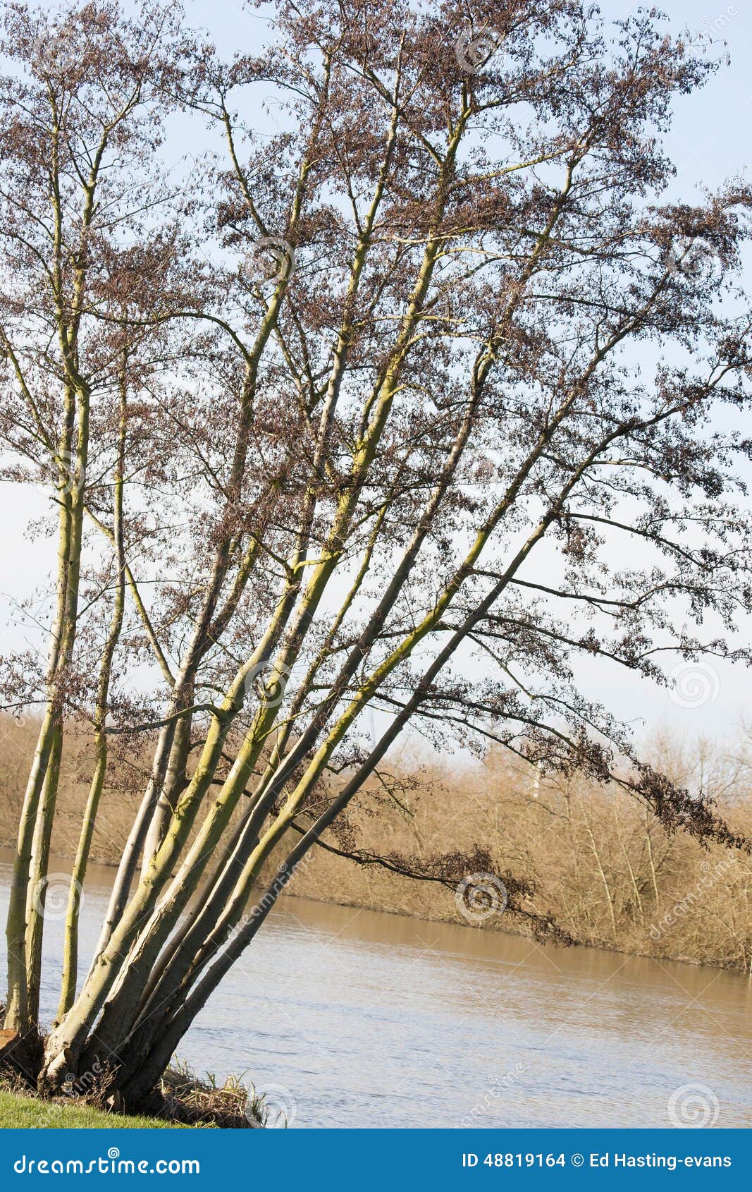 Thames At Sonning Stock Photo | CartoonDealer.com #110233896