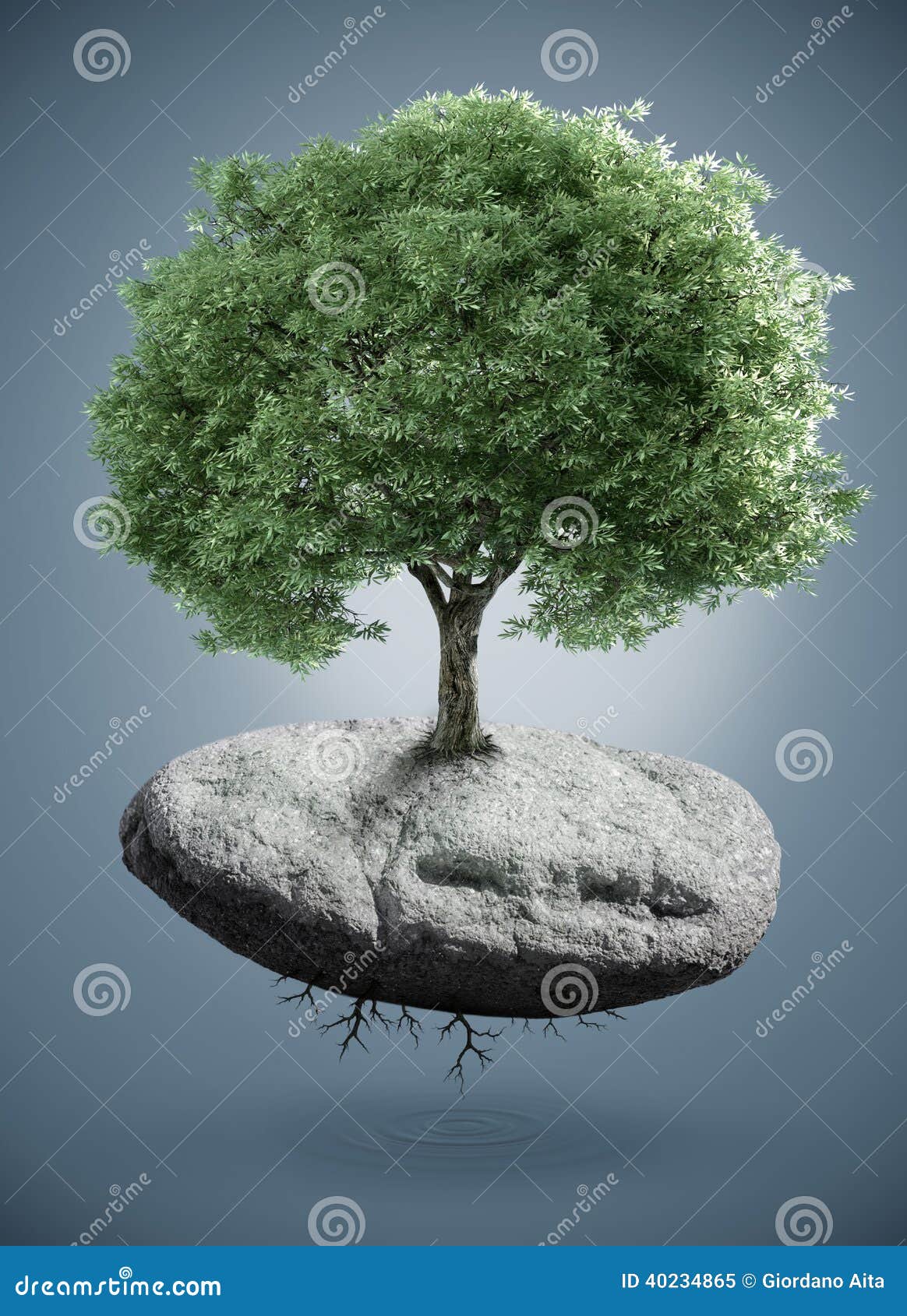 Tree on rock stock illustration. Illustration of adversity - 40234865
