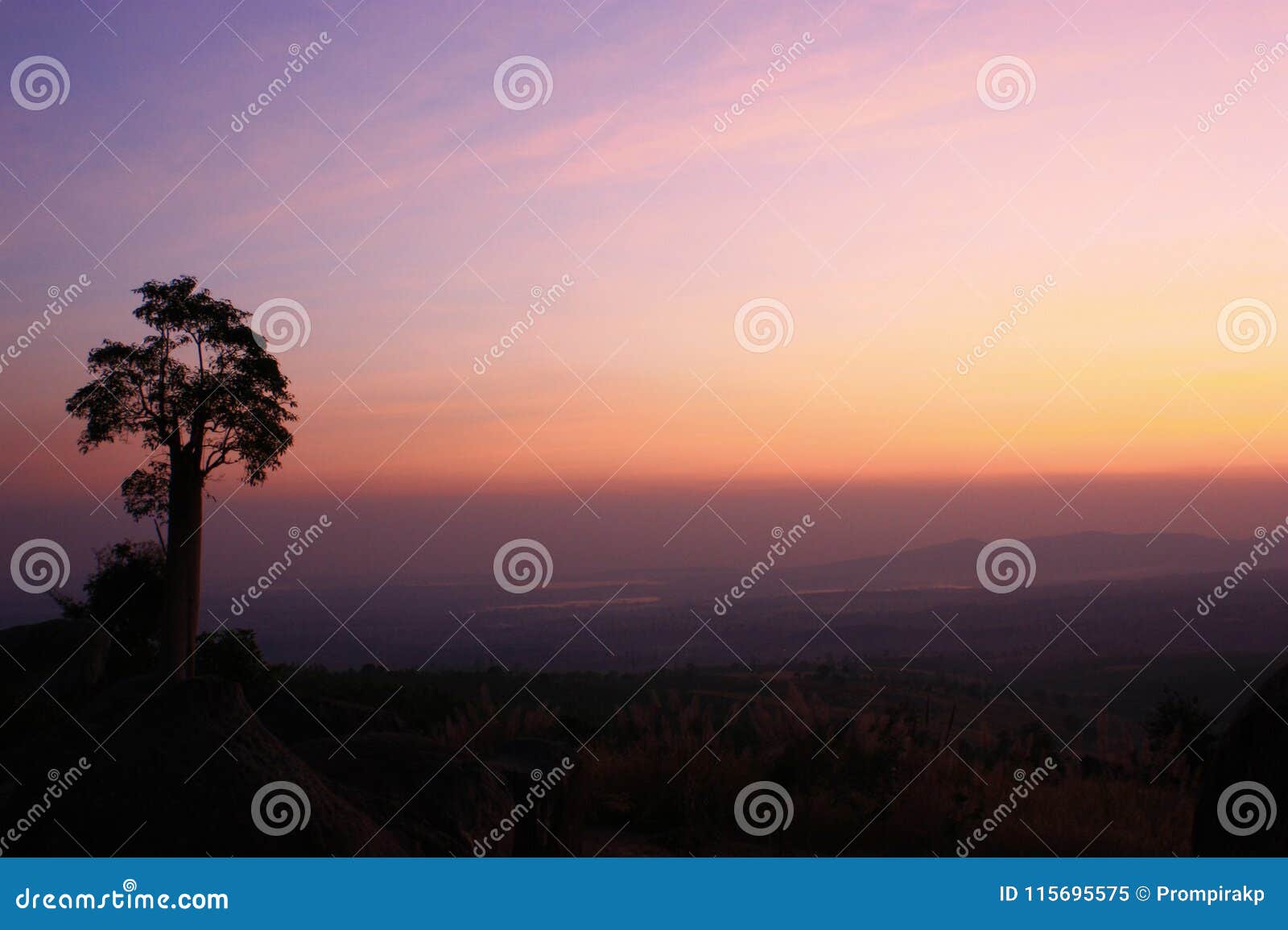 Tree on Rock with Cloud and Sky in Moning Twilight Time Stock Image ...
