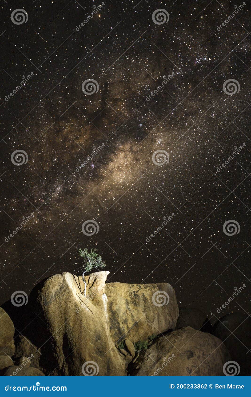 Tree and rocks under stars stock photo. Image of koppie - 200233862