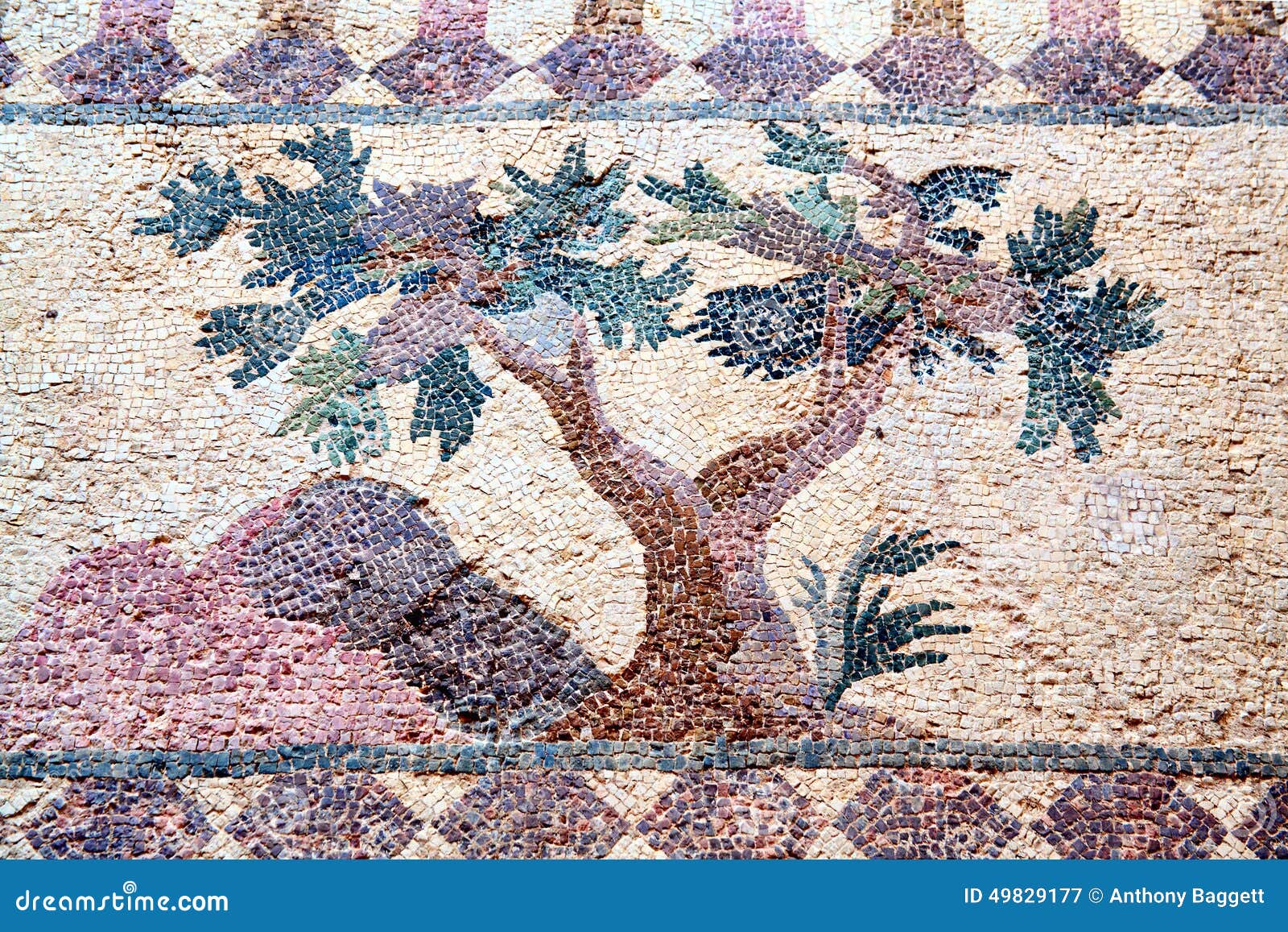 Tree, Roman Mosaic, Paphos, Cyprus Stock Image - Image of architecture ...